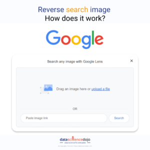 Reverse image search: Find similar images quickly | Data Science Dojo